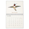 North American Hummingbirds Calendar | Zazzle