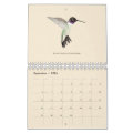 North American Hummingbirds Calendar | Zazzle