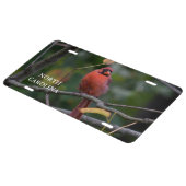 North Carolina State Bird License Plate | Zazzle