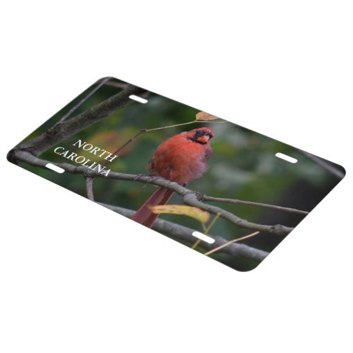 North Carolina State Bird License Plate | Zazzle