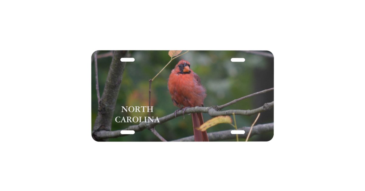 North Carolina State Bird License Plate | Zazzle