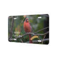 North Carolina State Bird License Plate | Zazzle