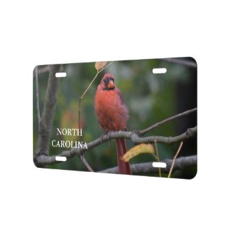North Carolina State Bird License Plate | Zazzle