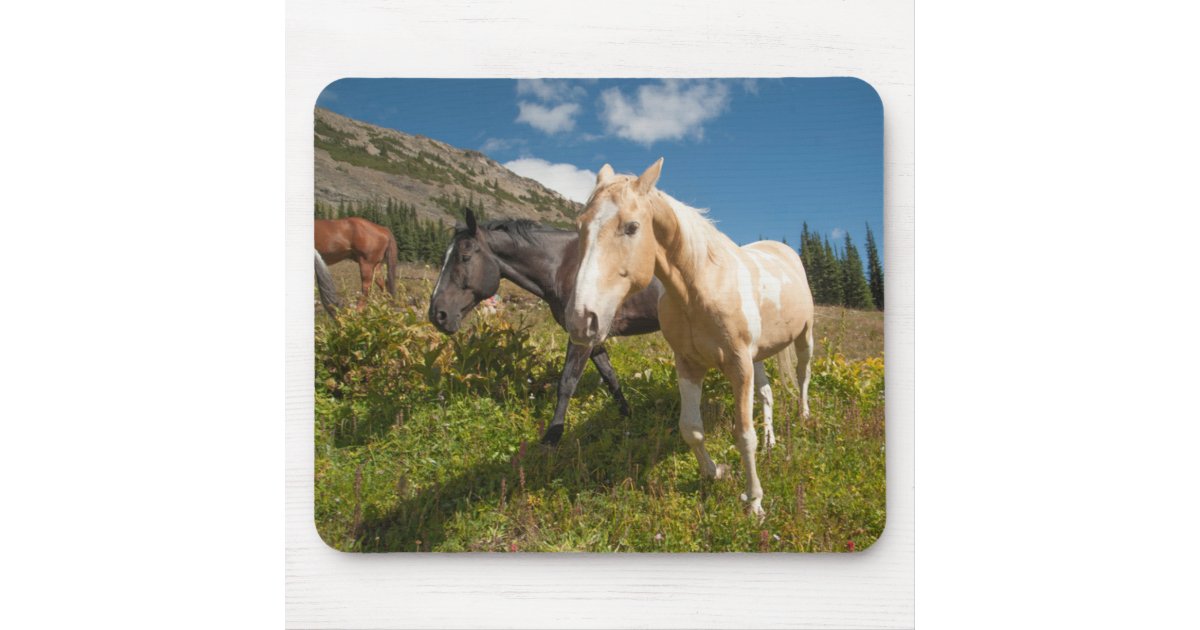 North Cascades National Park Mouse Pad | Zazzle