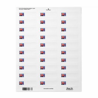 North Pole Return Address Labels | Zazzle