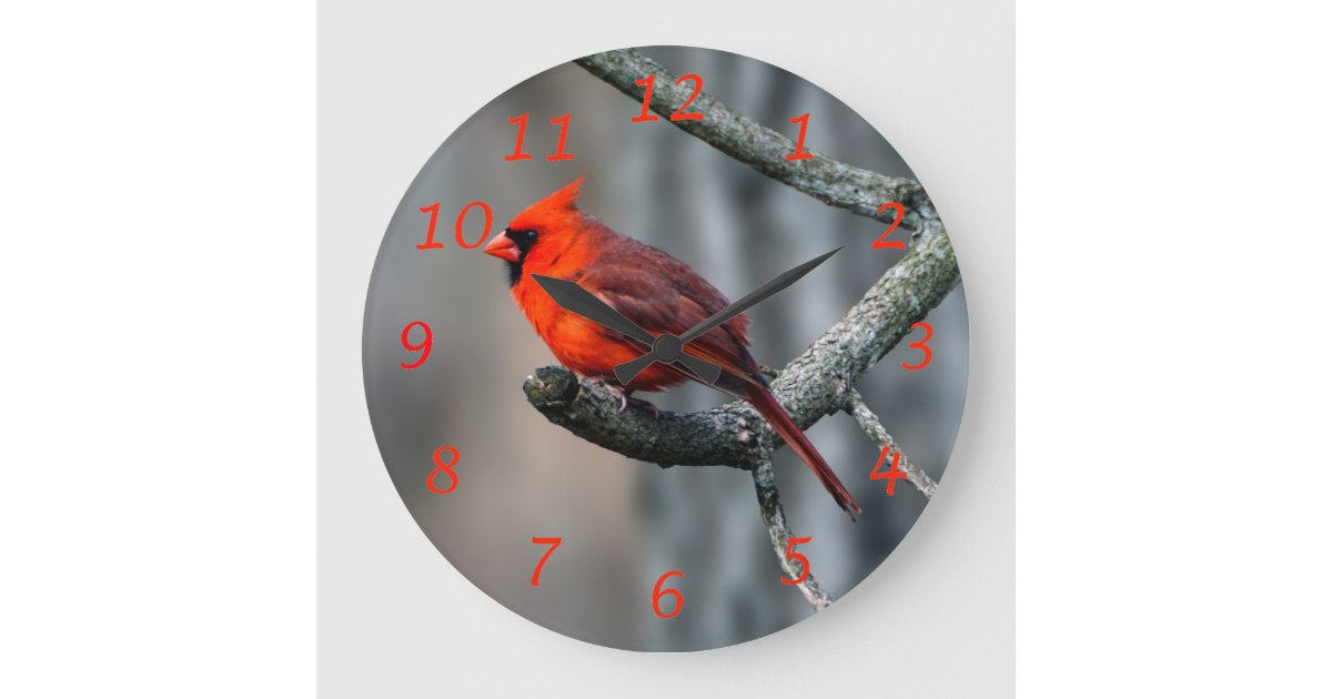 Northern Cardinal Bird Wall Clock | Zazzle