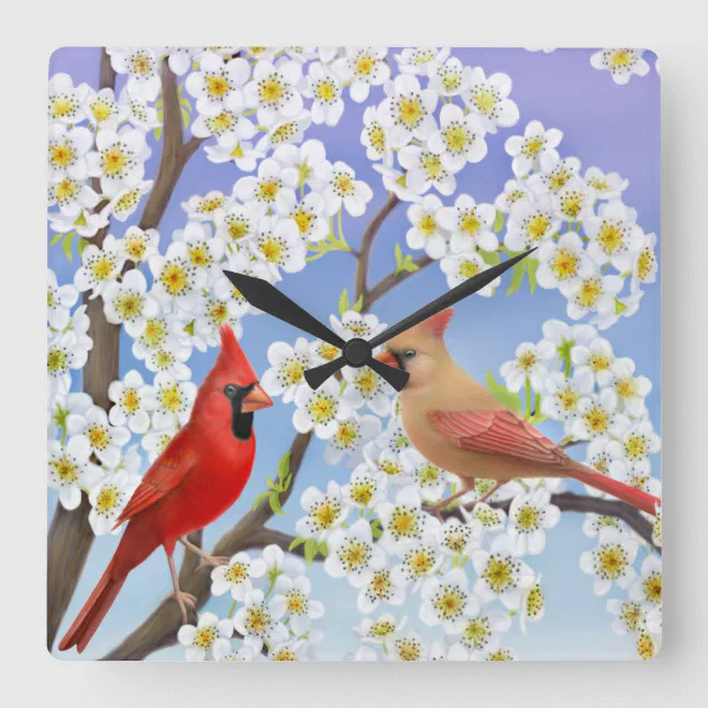 Northern Cardinal Birds Wall Clock | Zazzle
