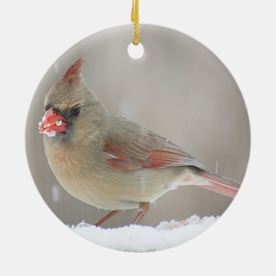 Northern Cardinal Ceramic Ornament | Zazzle.com