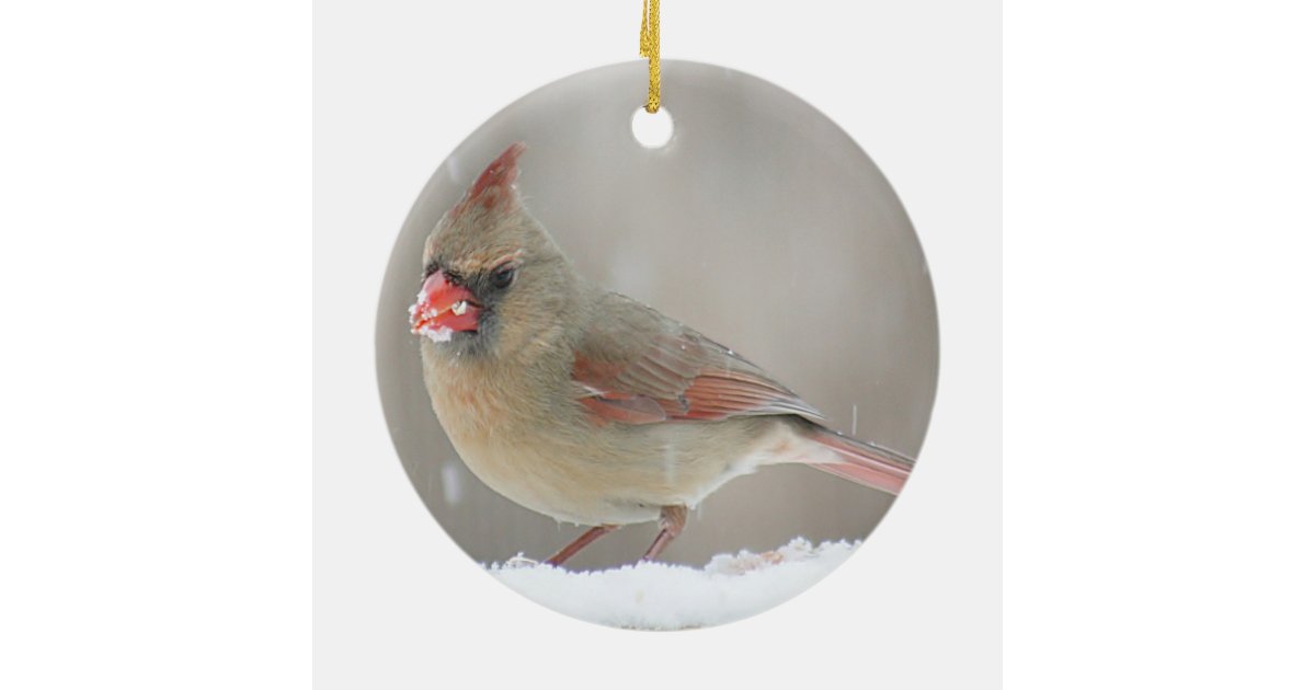 Northern Cardinal Ceramic Ornament | Zazzle.com