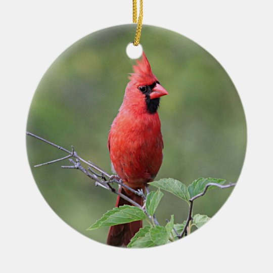 Cardinal Ornaments & Keepsake Ornaments | Zazzle