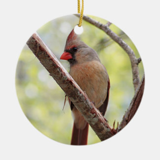 Cardinal Ornaments & Keepsake Ornaments | Zazzle