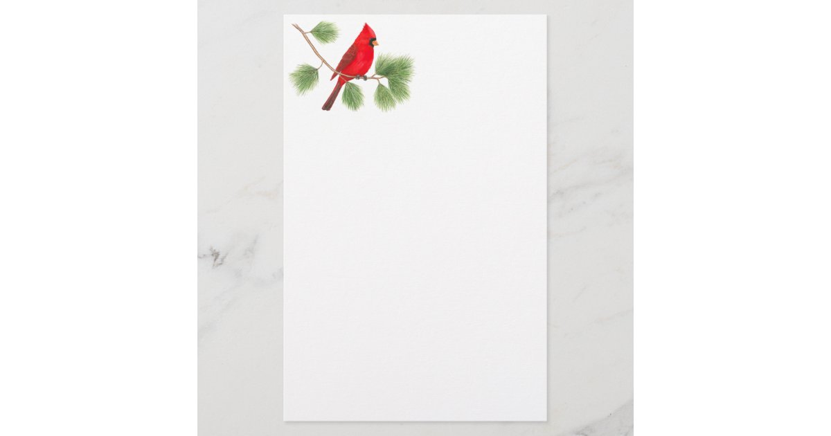 Northern Cardinal Illustration Stationery | Zazzle