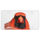 Cardinal and Hummingbird with Pink Lily and Ivy License Plate | Zazzle.com