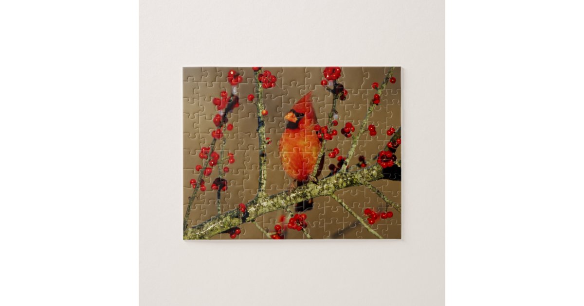 Northern Cardinal male perched, IL Jigsaw Puzzle | Zazzle