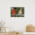 Northern Cardinal Photograph Poster | Zazzle