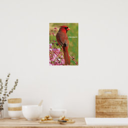 Northern Cardinal Poster | Zazzle