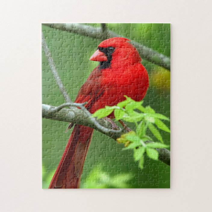 Northern cardinals jigsaw puzzle | Zazzle.com