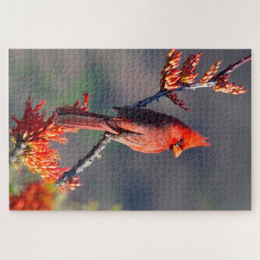 Northern Male Cardinal Jigsaw Puzzle | Zazzle