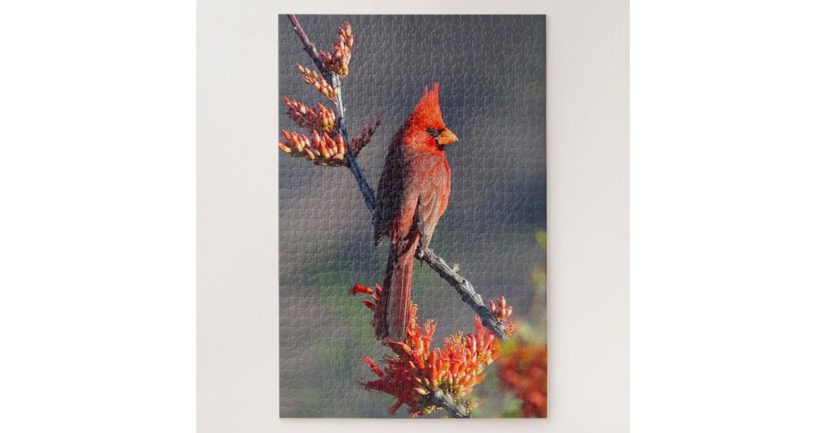 Northern Male Cardinal Jigsaw Puzzle | Zazzle