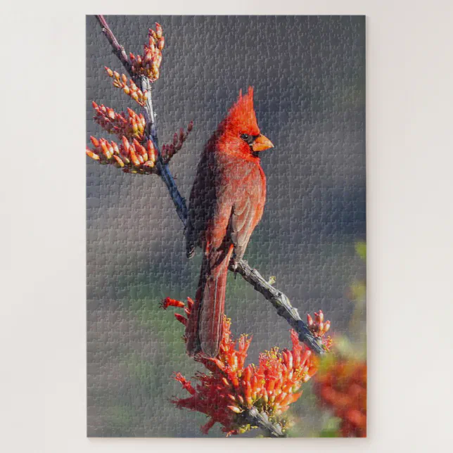 Northern Male Cardinal Jigsaw Puzzle | Zazzle