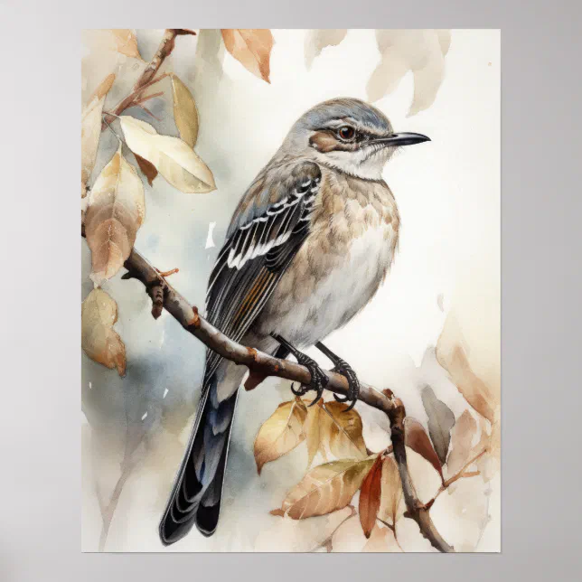 Northern Mockingbird Bird Art Print Poster | Zazzle