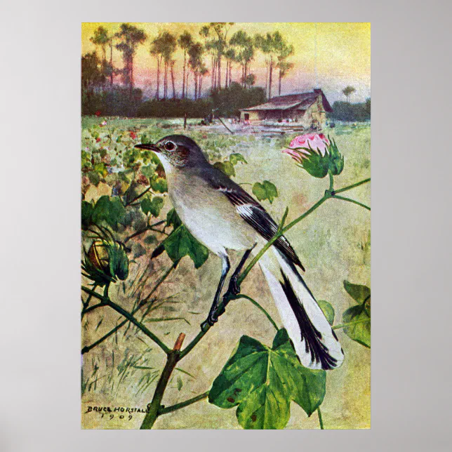 Northern Mockingbird Poster | Zazzle