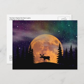 Northern Nights- Northern Lights Postcard | Zazzle
