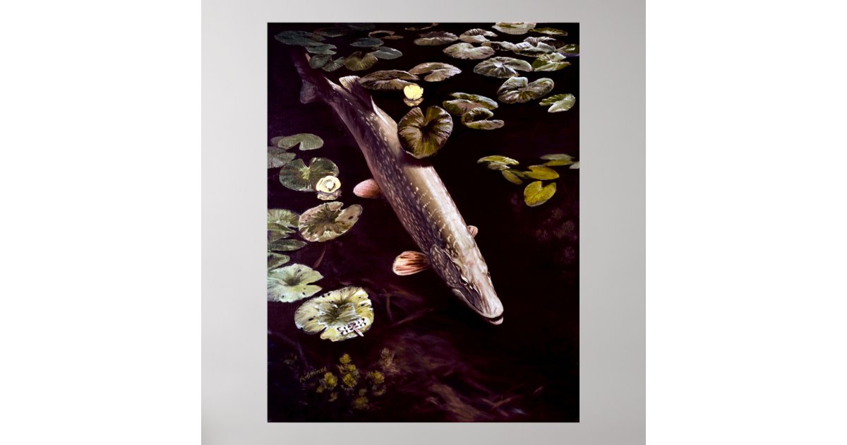 northern pike poster | Zazzle