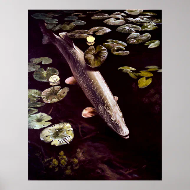 northern pike poster | Zazzle