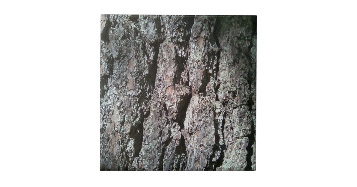 Northern Pine Tree Bark Tile | Zazzle