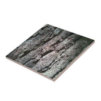 Northern Pine Tree Bark Tile | Zazzle