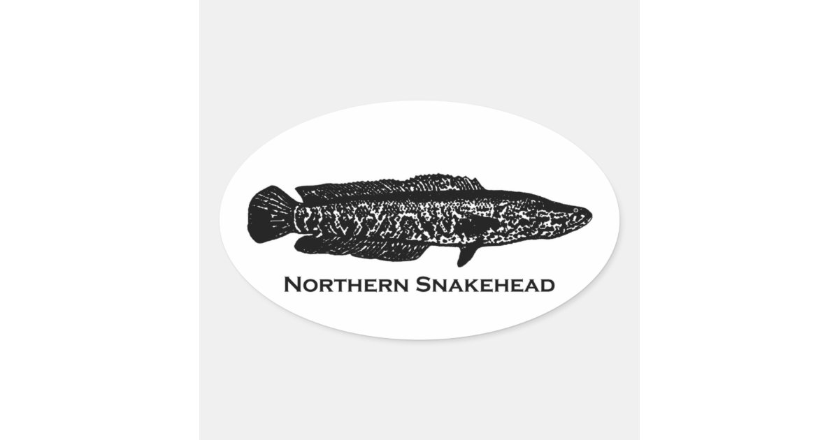 Northern Snakehead Oval Sticker | Zazzle