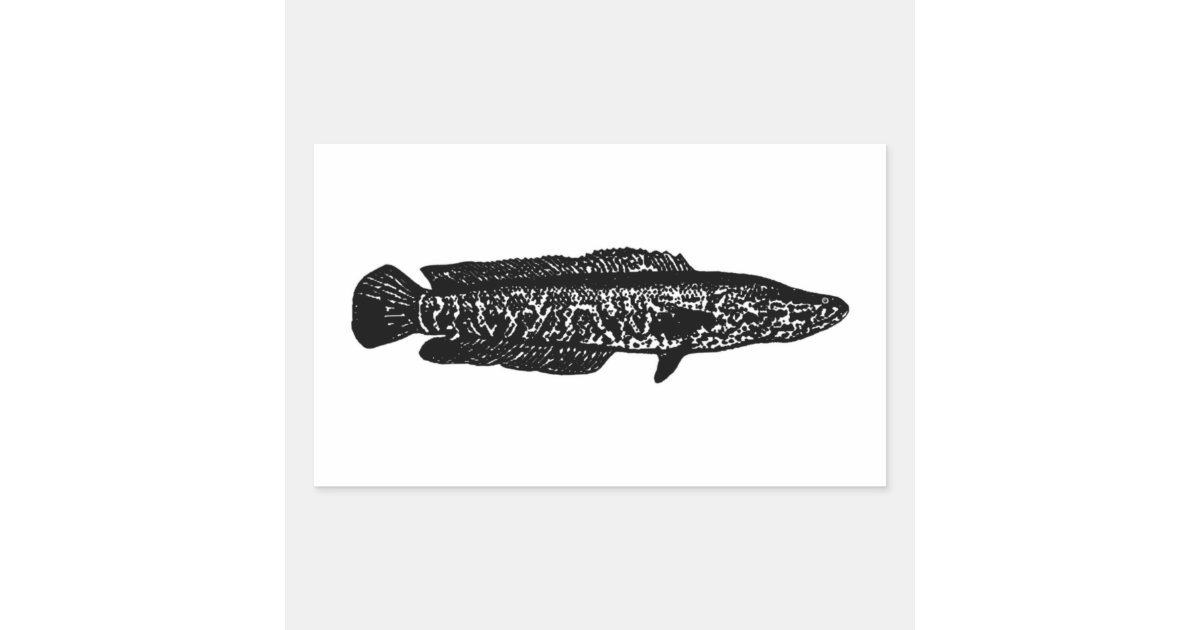 Northern Snakehead Rectangular Sticker | Zazzle