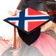 Norway & Norwegian Flag - Students /University Graduation Cap Topper ...