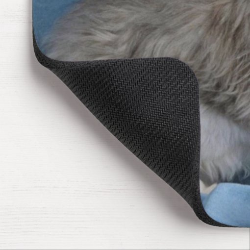 Norwegian Forest, silver, tabby and white Mouse Pad | Zazzle