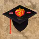 Norwegian Graduate & Norway students / University Graduation Cap Topper ...