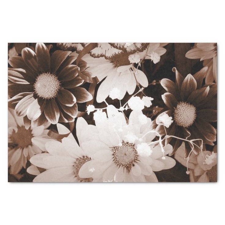 nostalgia western country wildflower summer daisy tissue paper | Zazzle