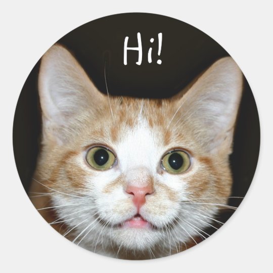 Nosy cat classic round sticker | Zazzle.com