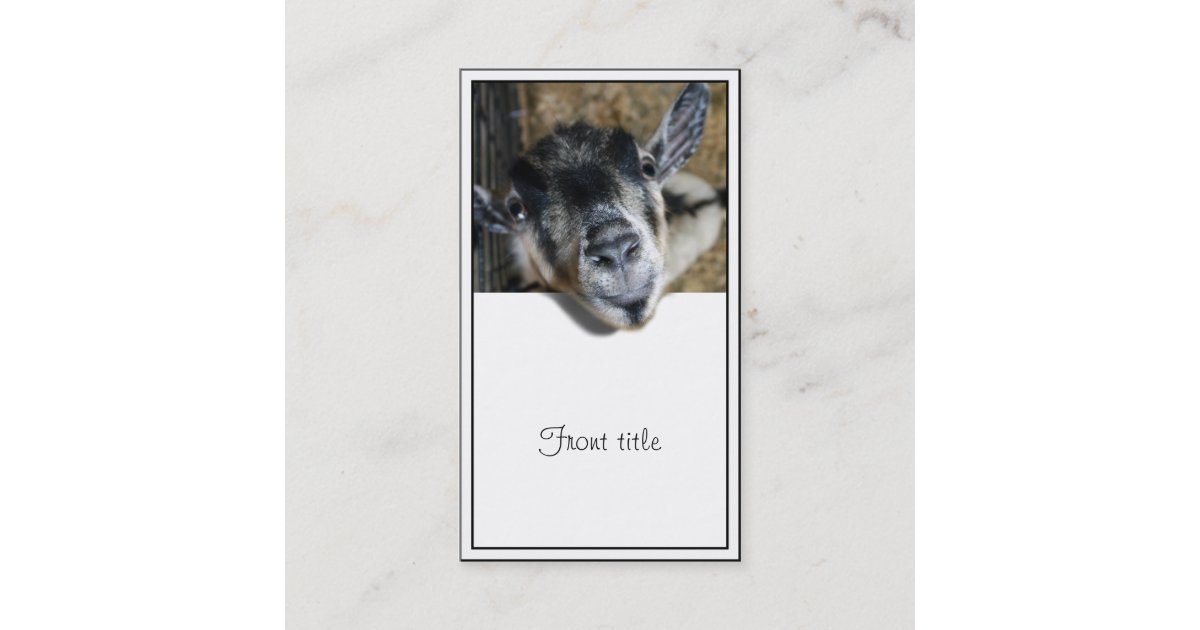 Nosy Goat Looking Out Business Card | Zazzle