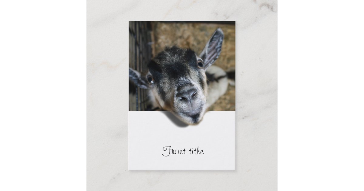 Nosy Goat Looking Out Business Card | Zazzle