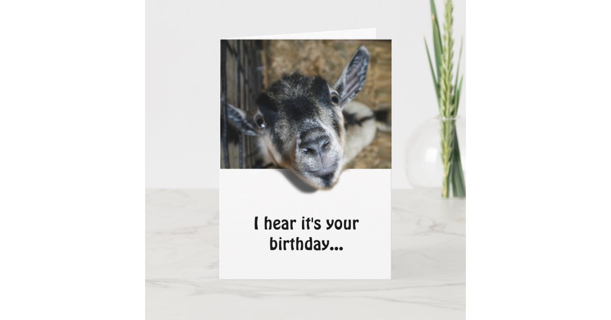Nosy Goat Looking Up - Birthday Card | Zazzle