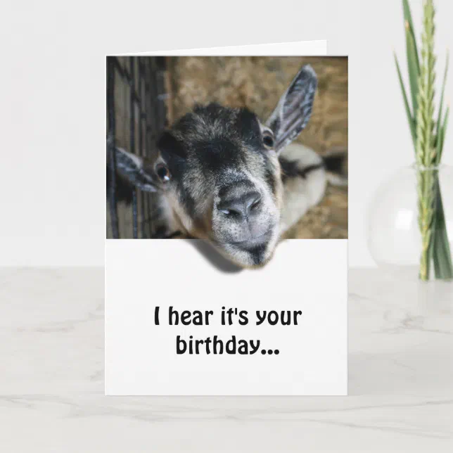Nosy Goat Looking Up - Birthday Card | Zazzle