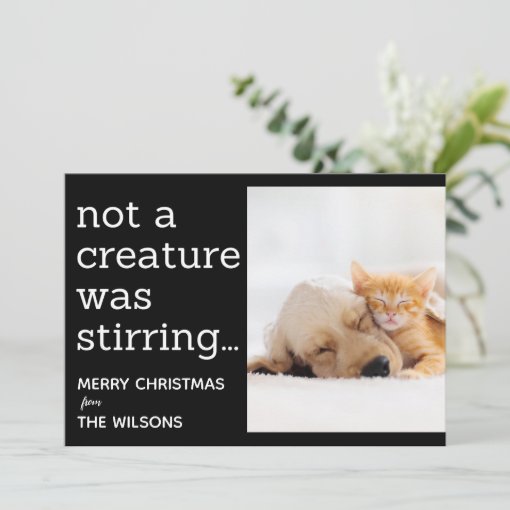 not a creature was stirring black photo christmas holiday card | Zazzle