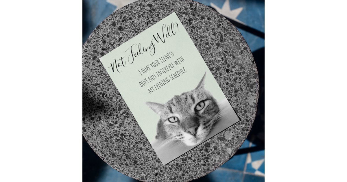 Not Feeling Well Get Well Soon From Cat Humor Card | Zazzle