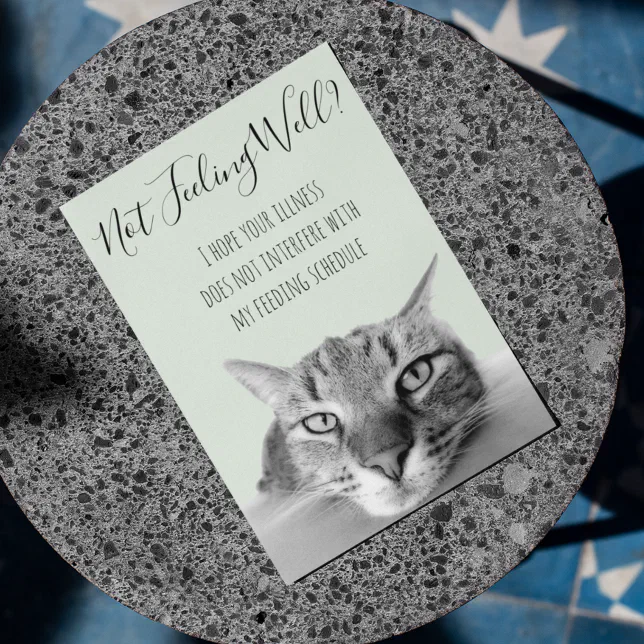 Not Feeling Well Get Well Soon From Cat Humor Card | Zazzle