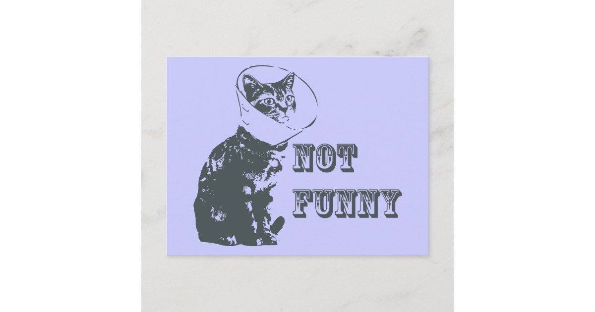 Not Funny Postcard | Zazzle