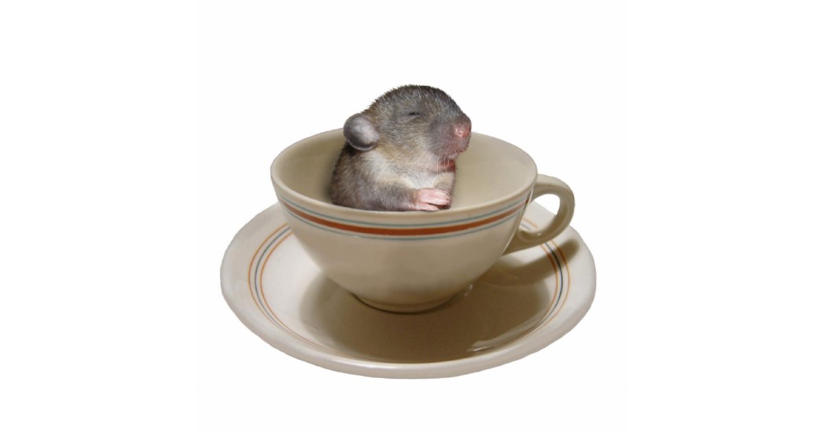 Not till I've had my coffee Photo Sculpture | Zazzle