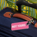Not Yours Personalized Luggage Tag | Pink | Zazzle