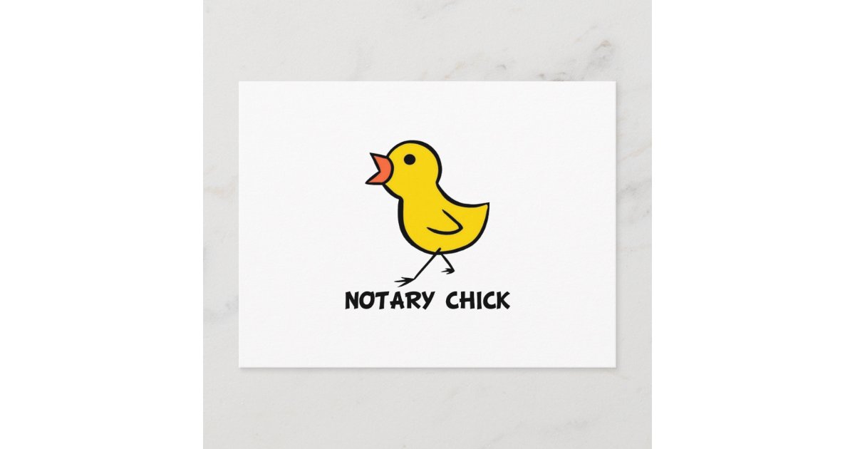 Notary Chick Postcard | Zazzle
