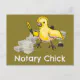 Notary Chick Yellow Feather Quill and Documents Postcard | Zazzle